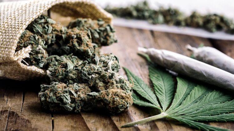 Maryland Marijuana Sales Reach New Monthly Record With $135 Million ...
