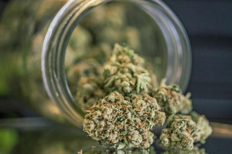 Germany Imports Record Amount of Medical Cannabis in Early 2025, Most ...