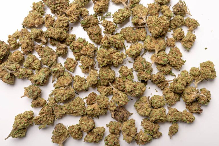 420 Peer-Reviewed Cannabis Studies, All Published in 2025