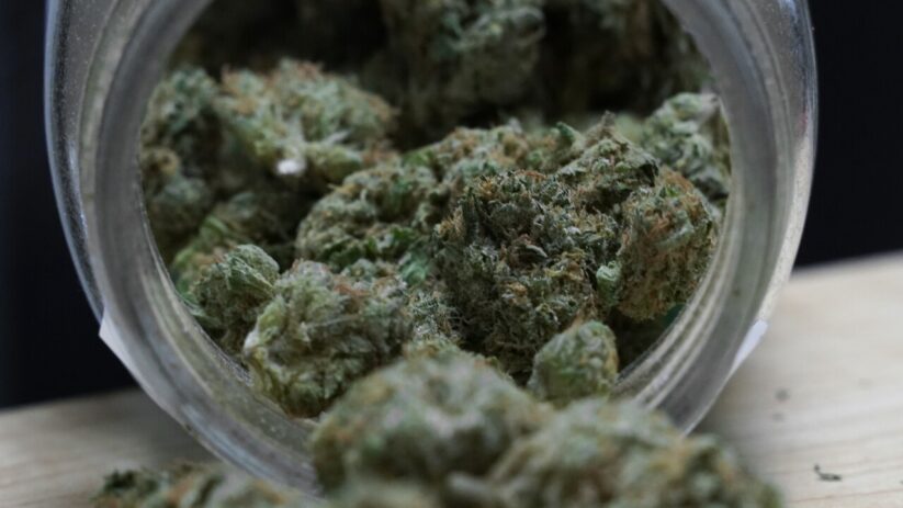 Minnesota’s "Open Package" Marijuana Law Has Fueled Thousands of New ...