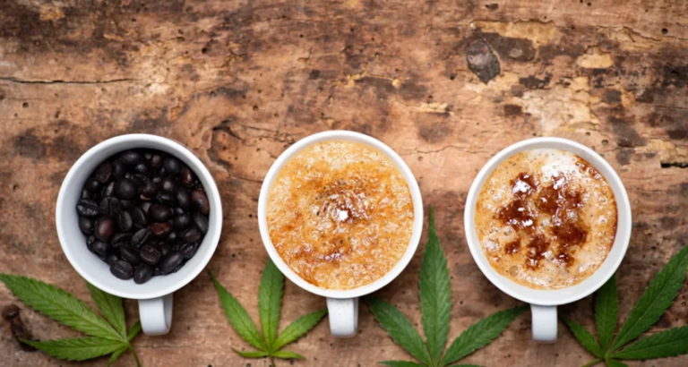 Oregon Initiative to Legalize Cannabis Cafes Clears First Signature ...