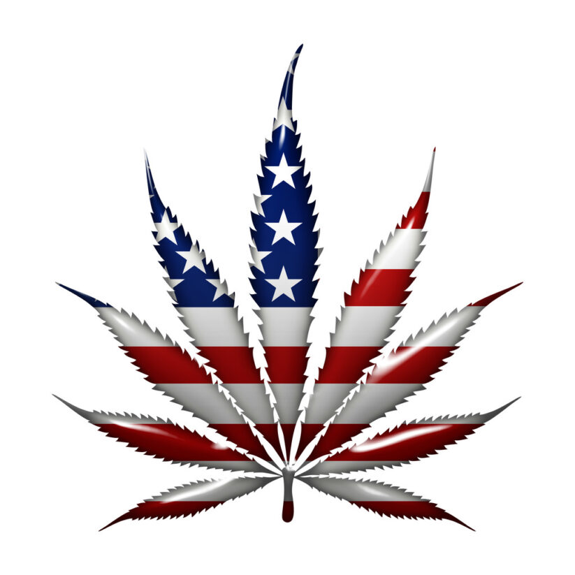 A Breakdown of Cannabis Laws in All 50 U.S. States